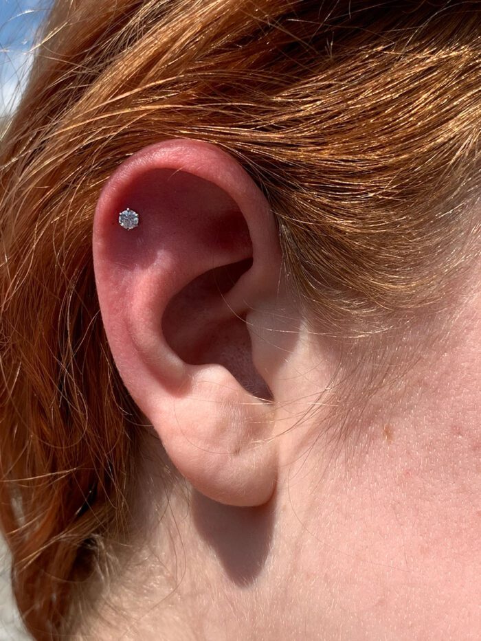 10 Different Piercing Types: - Platinum Ink Tattoos and Piercings